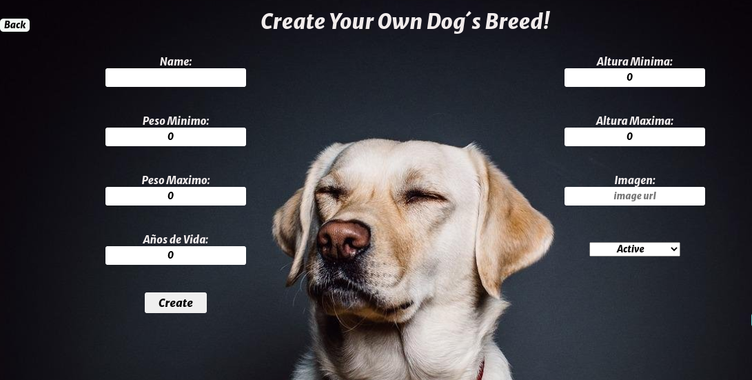 GitHub - Alek30k/dogs-project-front