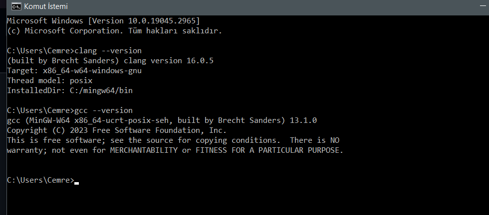 error · Issue #6453 · microsoft/vscode-docs · GitHub
