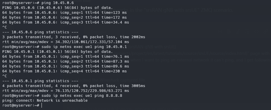 Cant Ping External Networks In The Srsran Gnb With Srsue Zmq