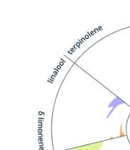 Feature Request: Curved Text in Polar Plots · Issue #2946 · tidyverse/ggplot2 · GitHub