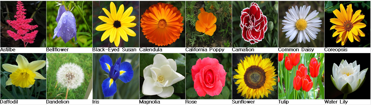 GitHub - ChaeHanbaek/FlowerFinder: Flower Recognition GUI Code