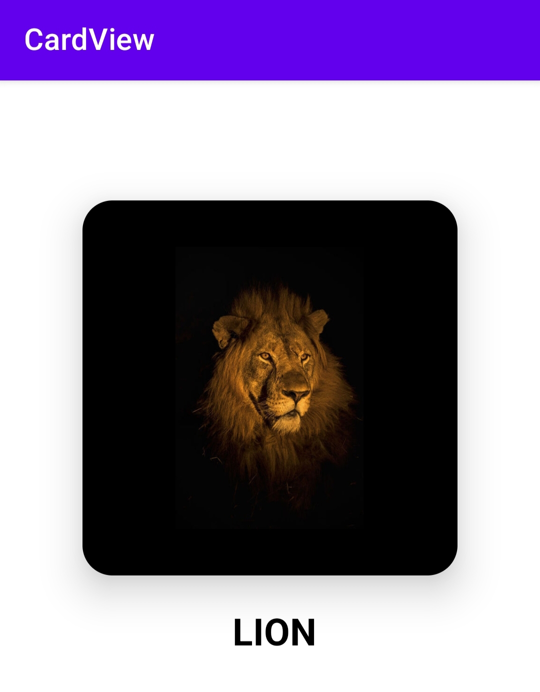 GitHub - SurajVishwakarma333/CardView-AndroidStudio: In this project i ...