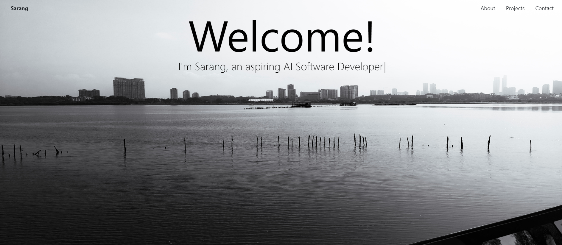 GitHub - Sarang-Nambiar/portfolio-react-website