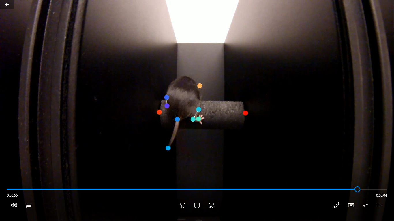 Deeplabcutcreatelabeledvideo Not Working · Issue 1878 · Deeplabcutdeeplabcut · Github