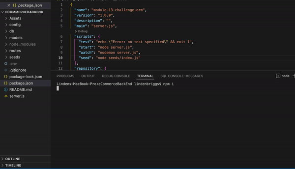 GitHub - lindybriggs/E-Commerce-Back-End