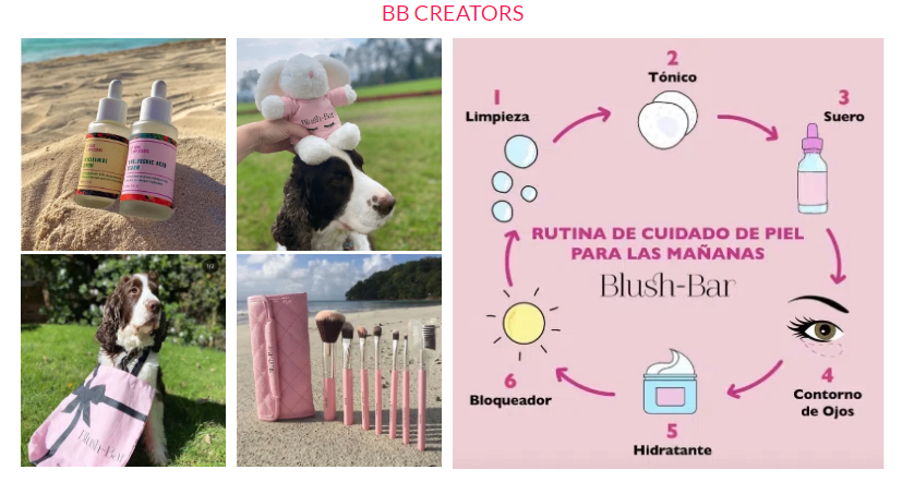 GitHub - DanielaTorresV/blushbardanitorres-custom-diagramation-template