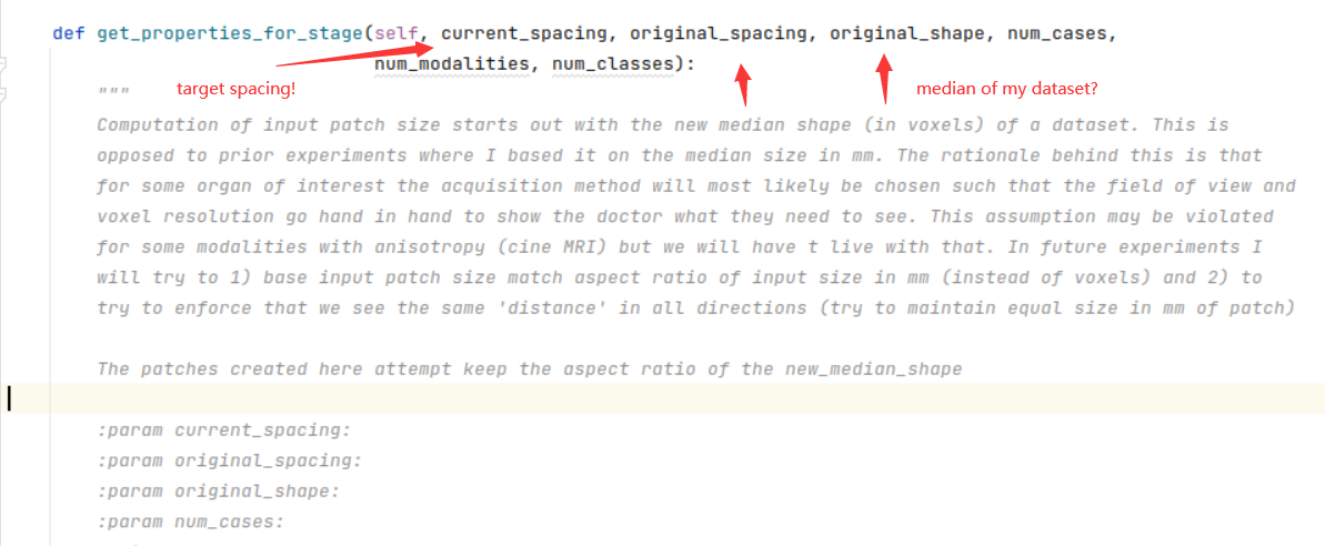 self.get_properties_for_stage(target_spacing_transposed, target_spacing ...