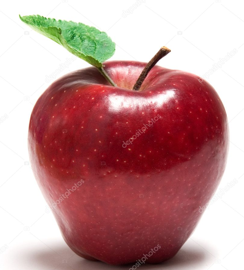 GitHub - chan2022/Image-Processing: Implemented different functions for image processing