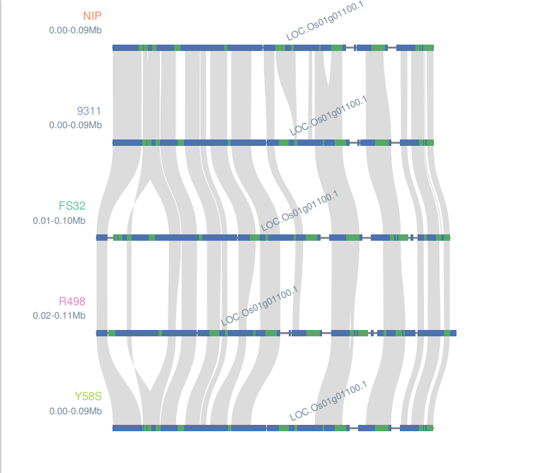 microsynteny-multispecies microsynyeny · Issue #477 · tanghaibao/jcvi ...