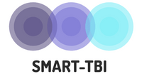 smart-tbi · GitHub