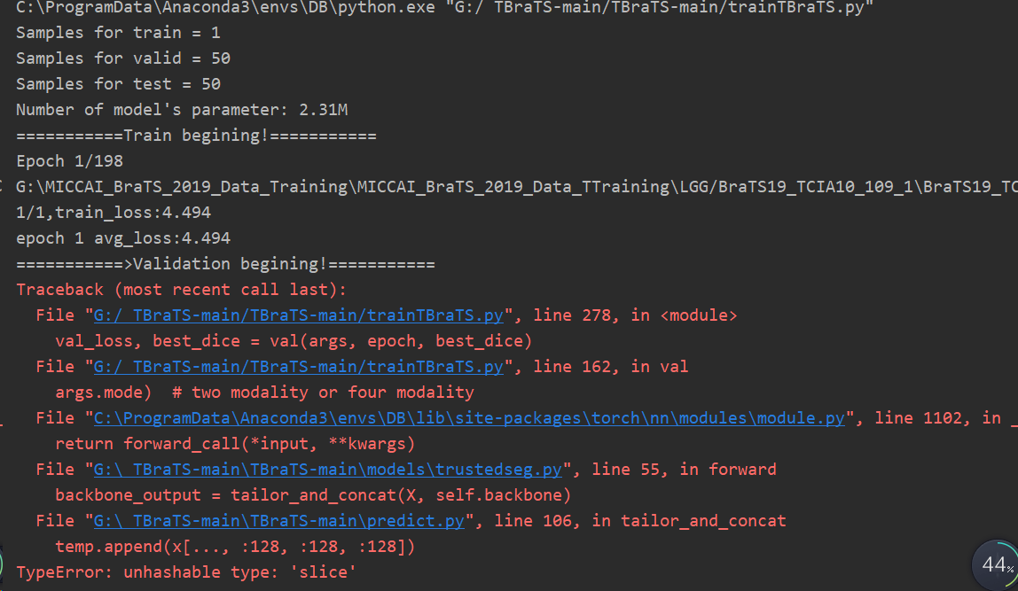 predict · Issue #5 · Cocofeat/TBraTS · GitHub