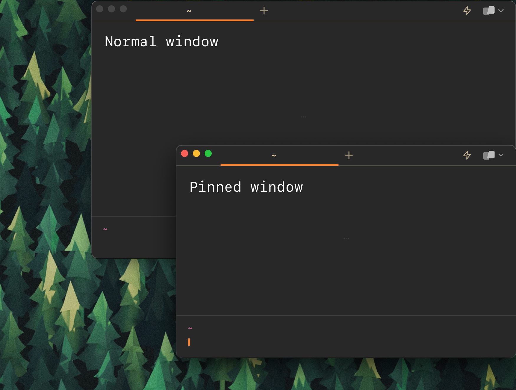 Add "Always on top" feature on window menu · Issue #2894 · warpdotdev/Warp · GitHub