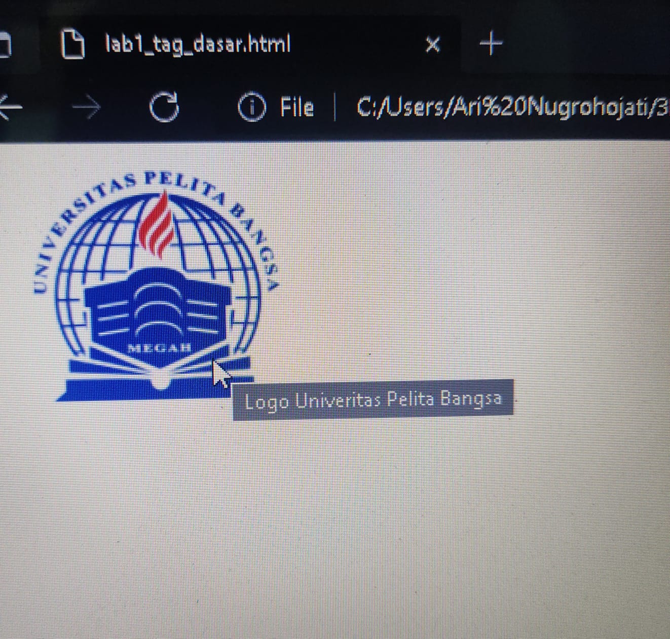 GitHub - AAr1X/Lab1Web
