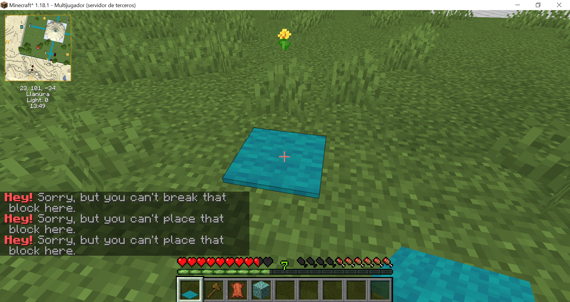 Worldguard doesnt prevent me from biulding as it should · Issue #1888 · EngineHub/WorldGuard ...