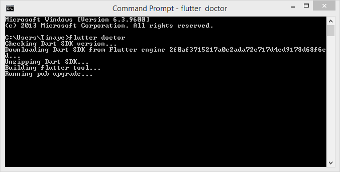 Flutter Doctor Keeps On Downloading Darts Sdk · Issue 75480 · Flutterflutter · Github 