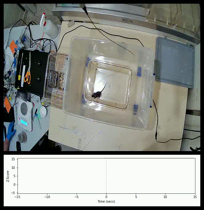 GitHub - Andrews-Lab/Fiber_photometry_analysis: GUI for the analysis of ...