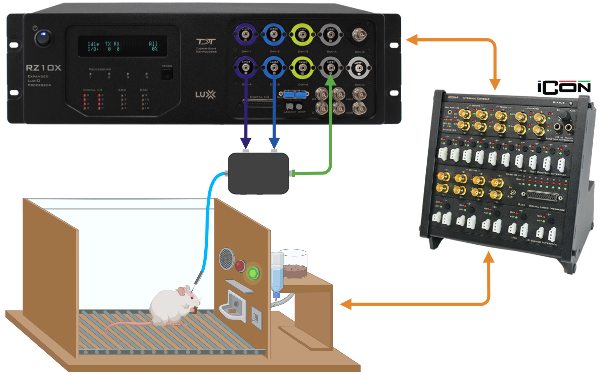 GitHub - Andrews-Lab/Fiber_photometry_analysis: GUI for the analysis of ...