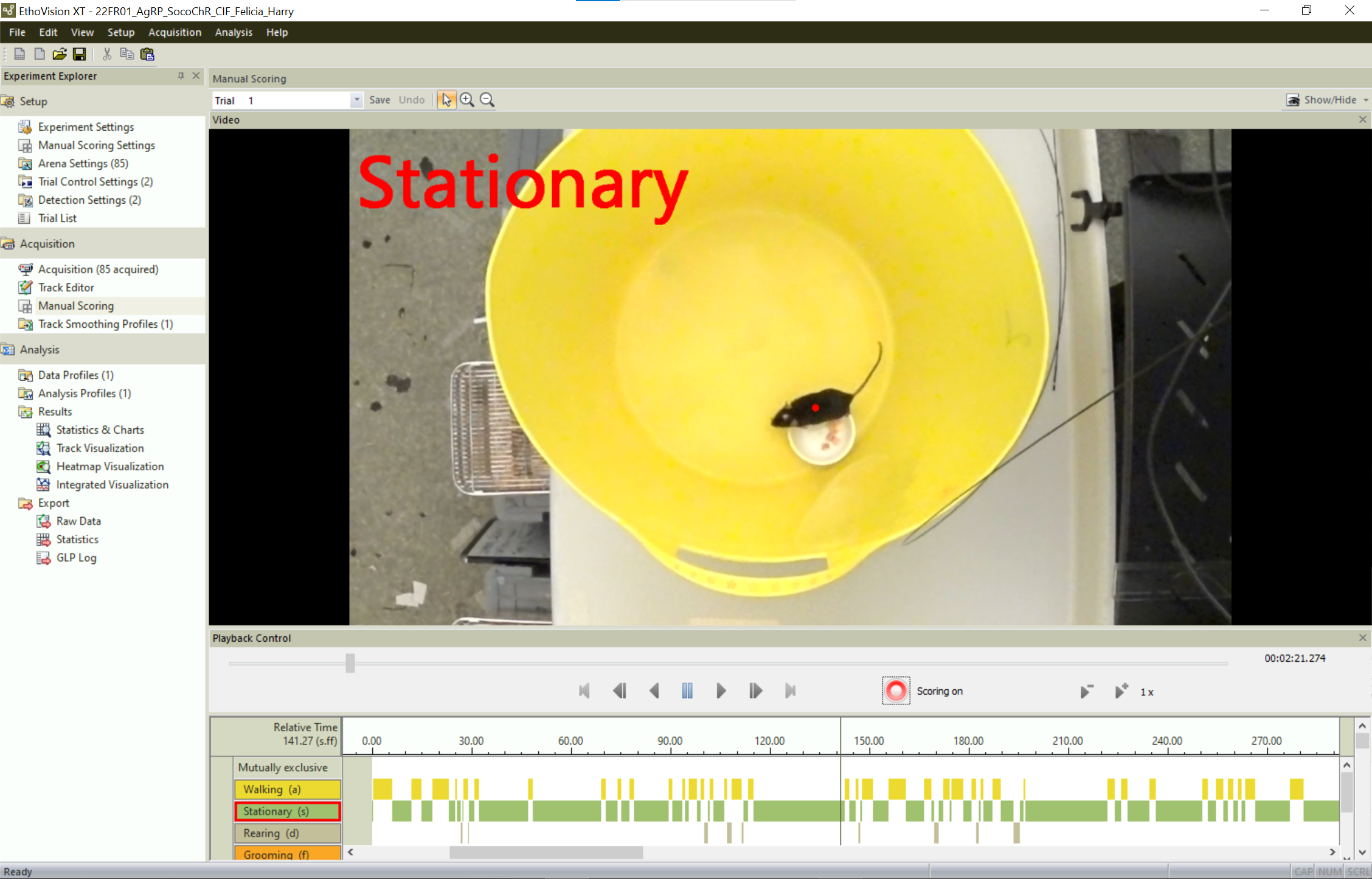 GitHub - Andrews-Lab/EthoVision_analysis: This code analyses the raw ...