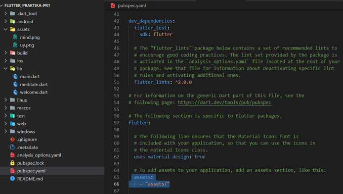 GitHub - AsanoKodz/pract1