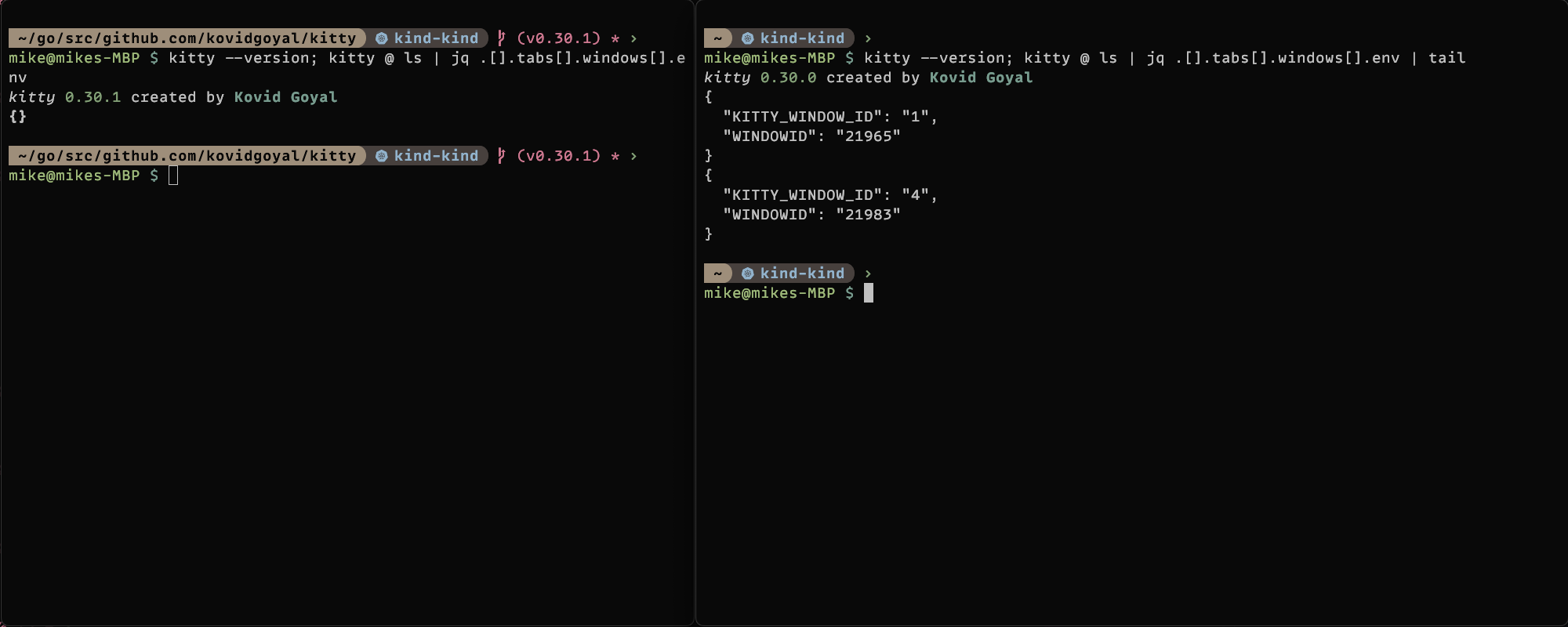 Kitty windows missing environment variables on v0.30.1 · Issue #6749 · kovidgoyal/kitty · GitHub
