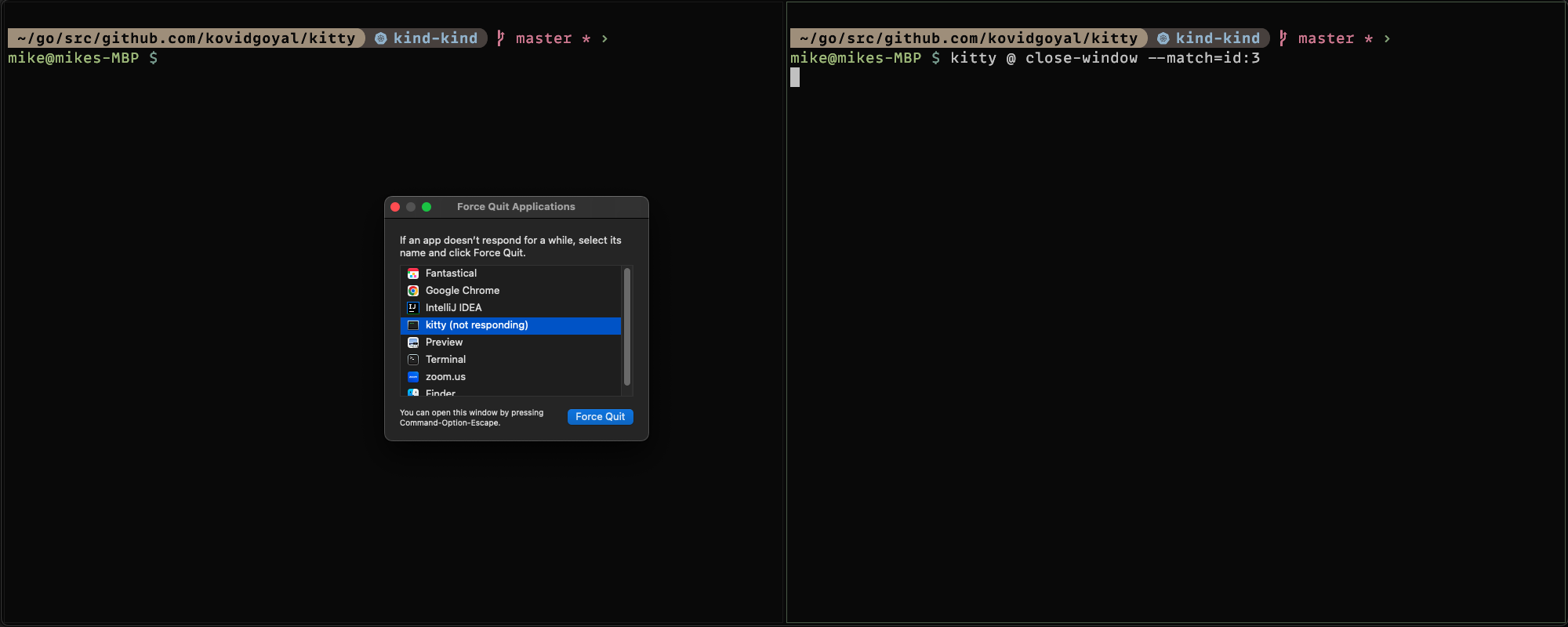 Closing an overlay window with close-window by id hangs on nightly · Issue #6751 · kovidgoyal ...
