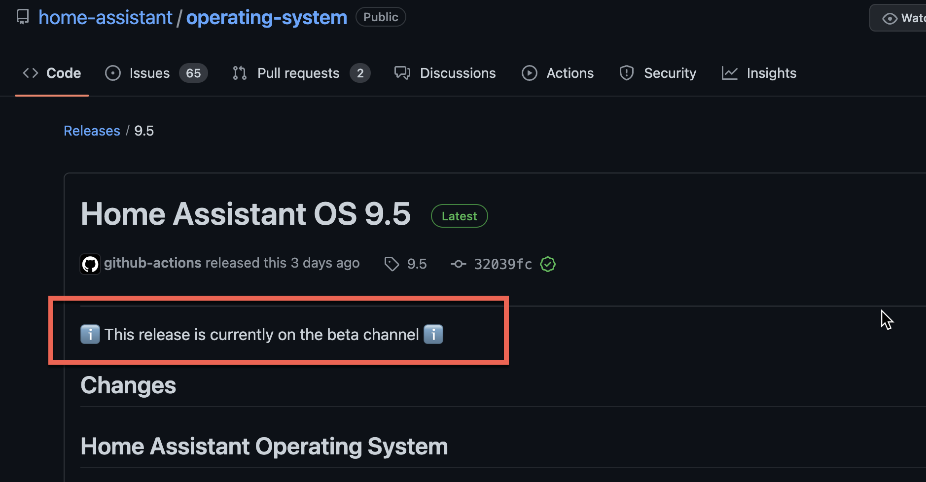 9 5 Shows Up Even Though Its In Beta · Issue 2323 · Home Assistant Operating System · Github
