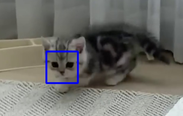 GitHub - ja2in/wild-animal-extermination-system: [Python] OpenCV와 IoT 기술을 이용한 야생동물 퇴치 시스템