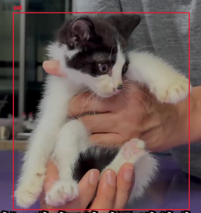 GitHub - ja2in/wild-animal-extermination-system: [Python] OpenCV와 IoT 기술을 이용한 야생동물 퇴치 시스템