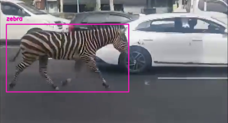 GitHub - ja2in/wild-animal-extermination-system: [Python] OpenCV와 IoT 기술을 이용한 야생동물 퇴치 시스템