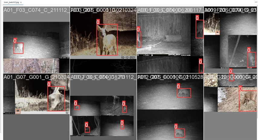 GitHub - ja2in/wild-animal-extermination-system: [Python] OpenCV와 IoT ...