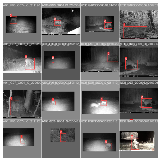 GitHub - ja2in/wild-animal-extermination-system: [Python] OpenCV와 IoT 기술을 이용한 야생동물 퇴치 시스템