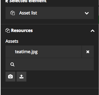AssetEditor: icon and chevron for single asset mode · Issue #1337 · neos/neos-ui · GitHub