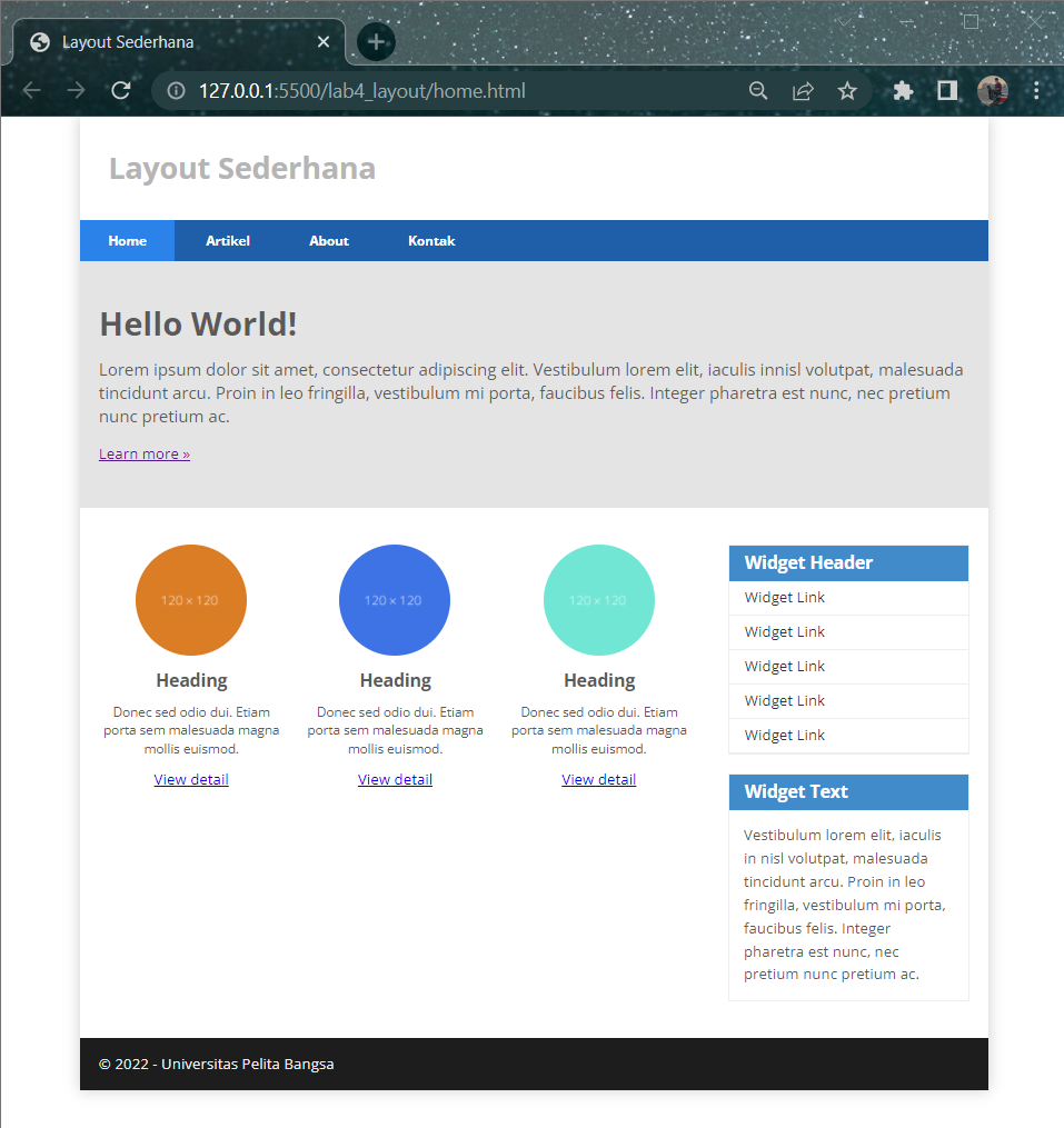 GitHub - RocketKitty6/Lab4Web