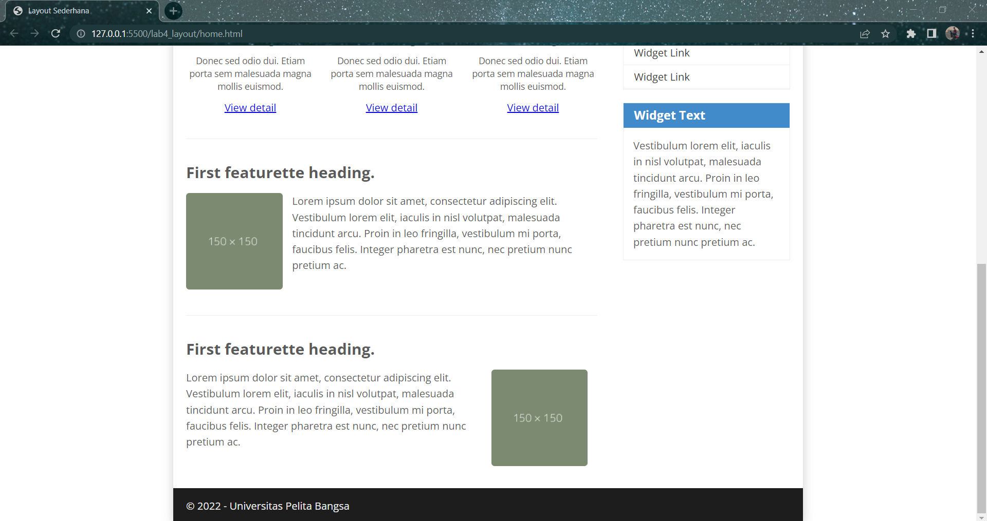 GitHub - RocketKitty6/Lab4Web