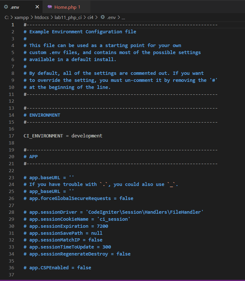 GitHub - RocketKitty6/Lab11Web