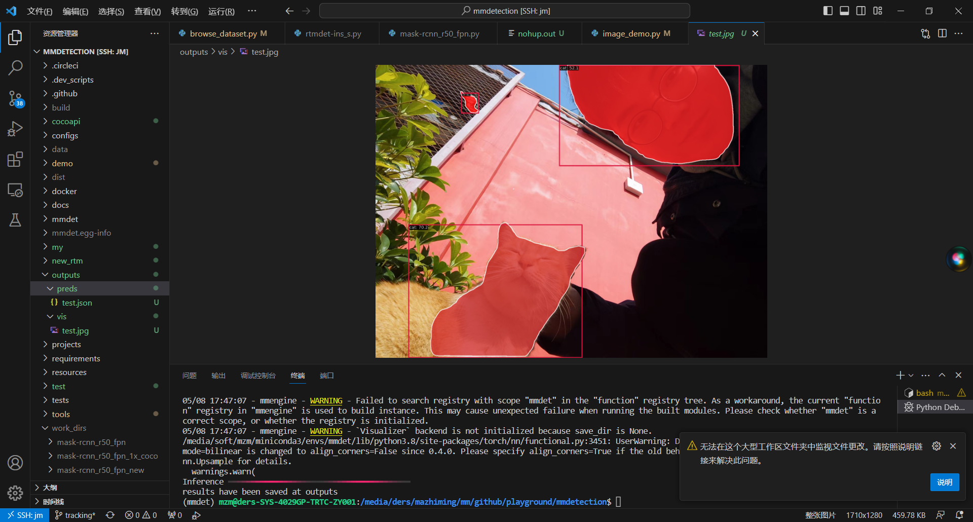 Fail To Test Rtmdetins · Issue 10286 · Open Mmlabmmdetection · Github