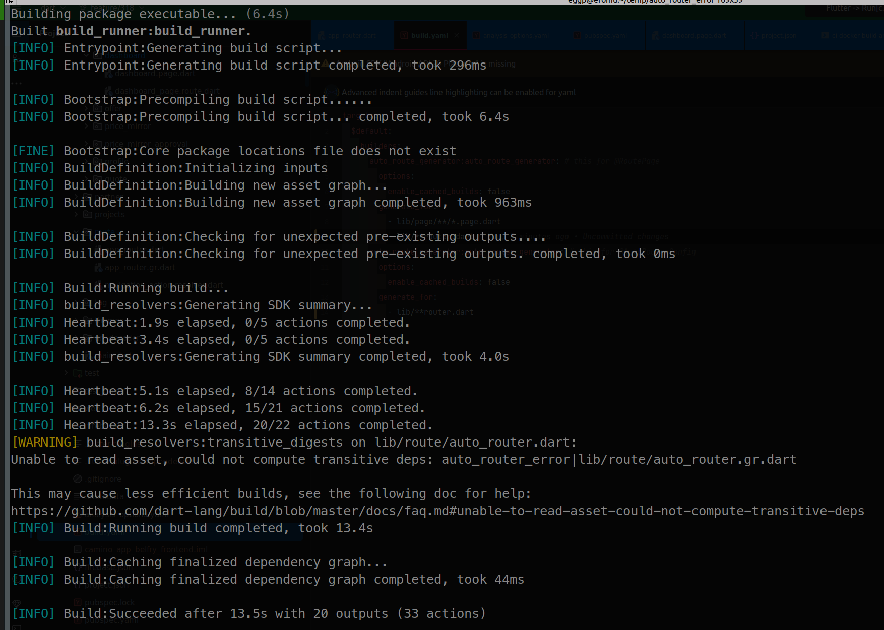 Warning message when running: dart run build_runner build -d · Issue #1729 · Milad-Akarie/auto ...
