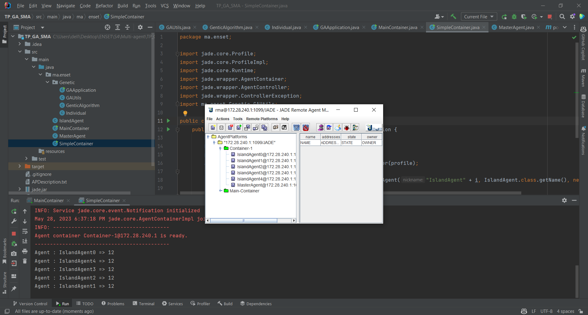 GitHub - oelaji/TP_GA_SMA