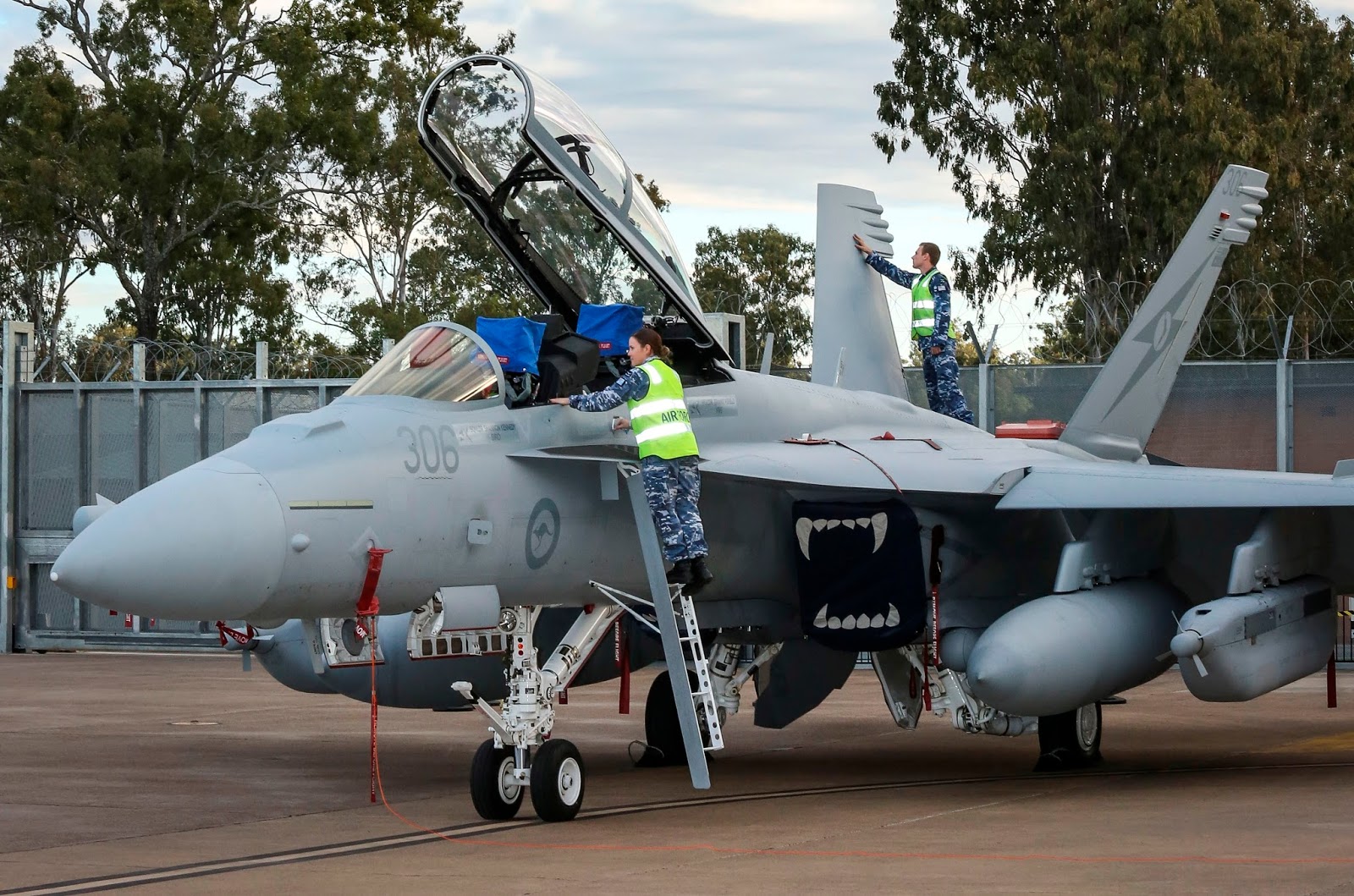 RAAF Growler ATFLIR and AIM-9X loadouts · Issue #2045 ...