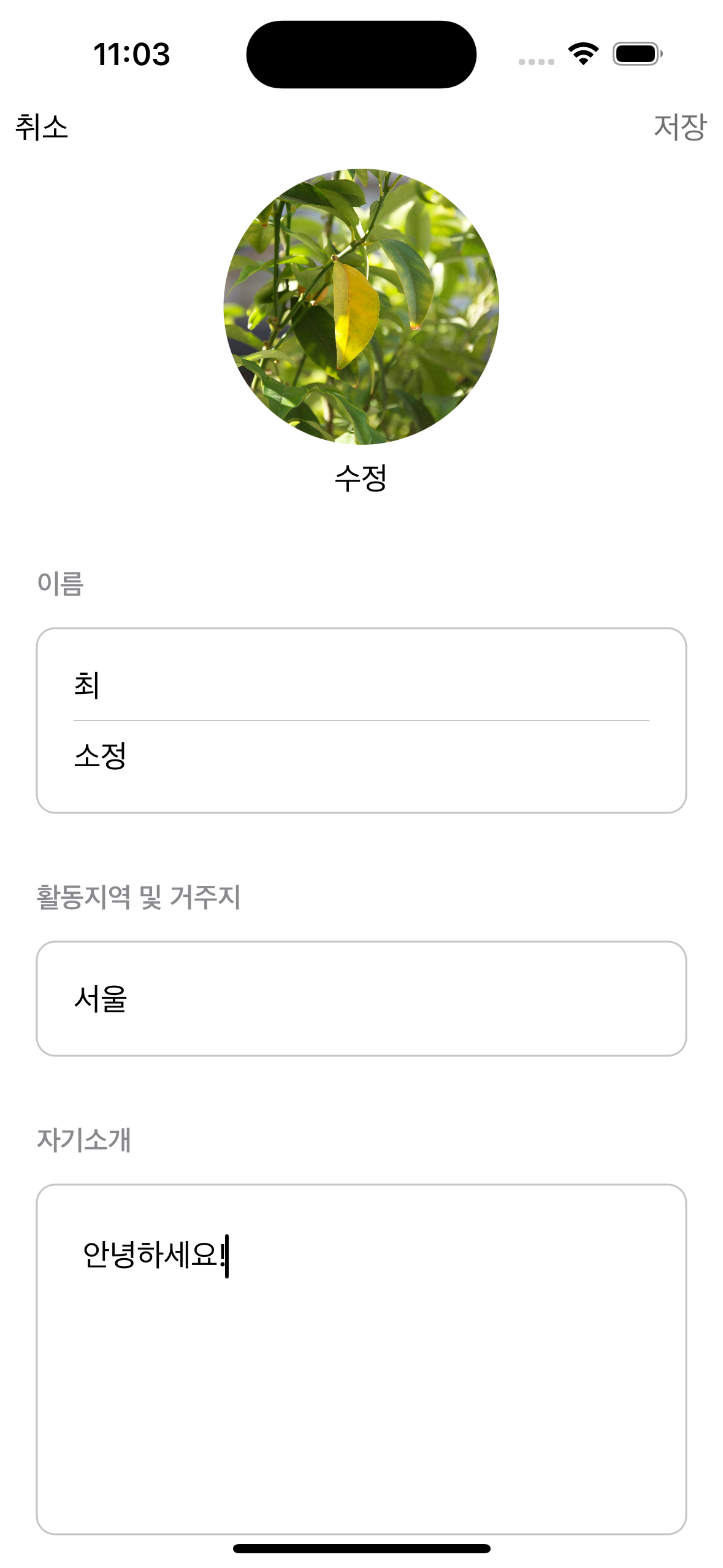 GitHub - APP-iOS2/project03-teamG: 프로젝트3 G팀 프로젝트