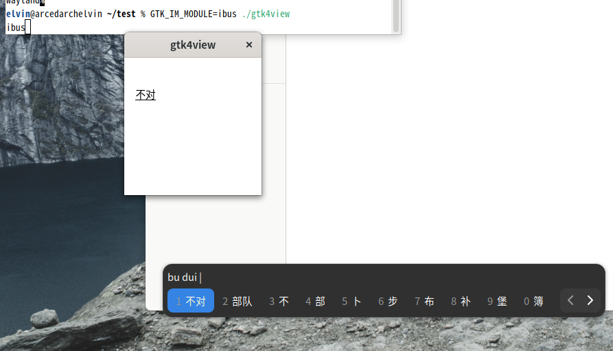 ibus panel places wrong in gtk4 program · Issue #2449 · ibus/ibus · GitHub