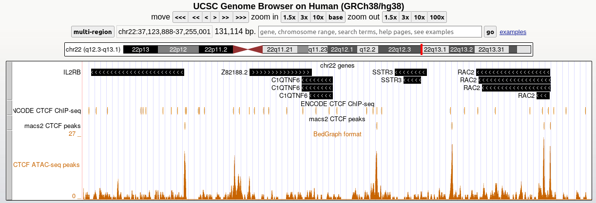GitHub - miurazzo/ATAC-seq-pipeline: From FASTQ to Peaks
