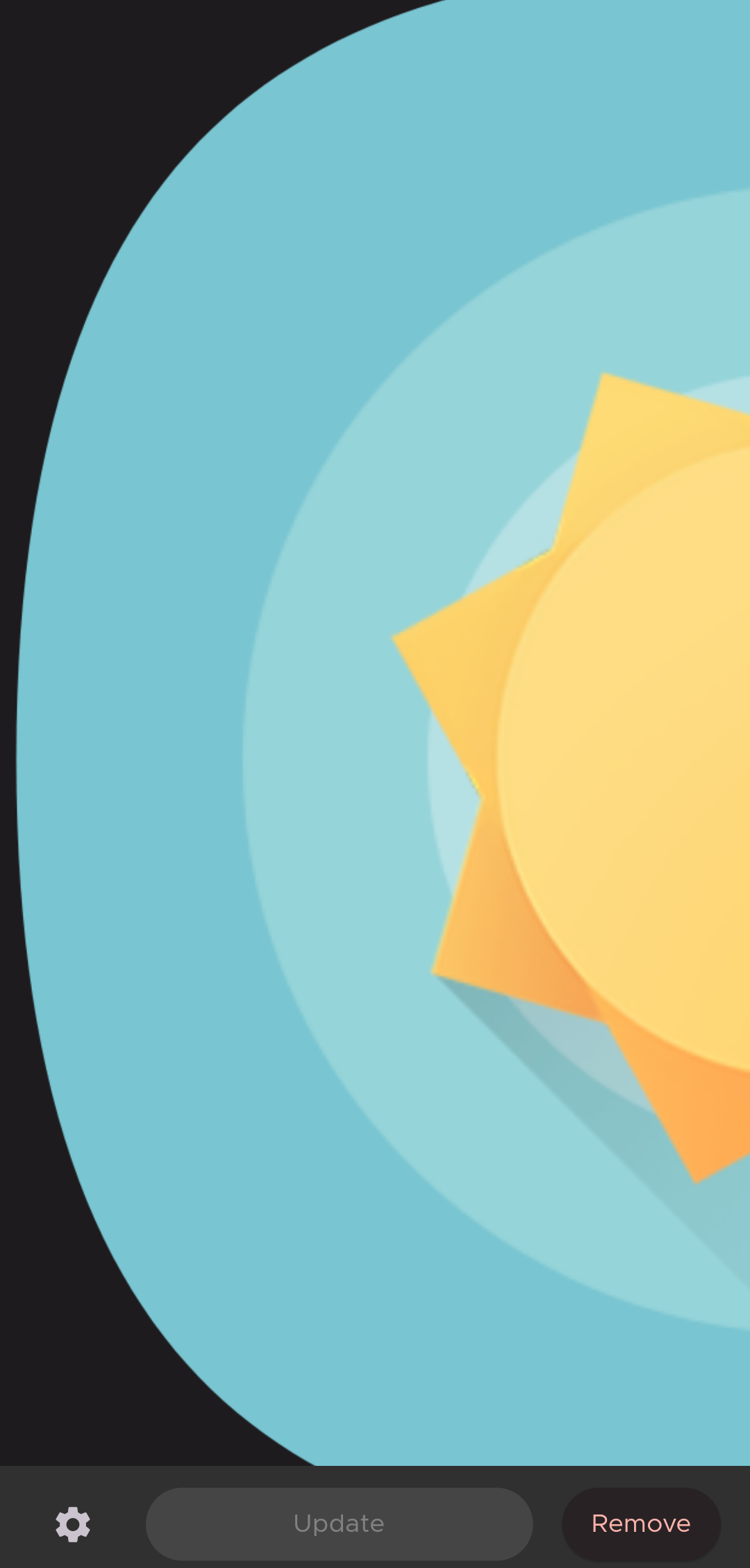 Large app icons · Issue #80 · ImranR98/Obtainium · GitHub