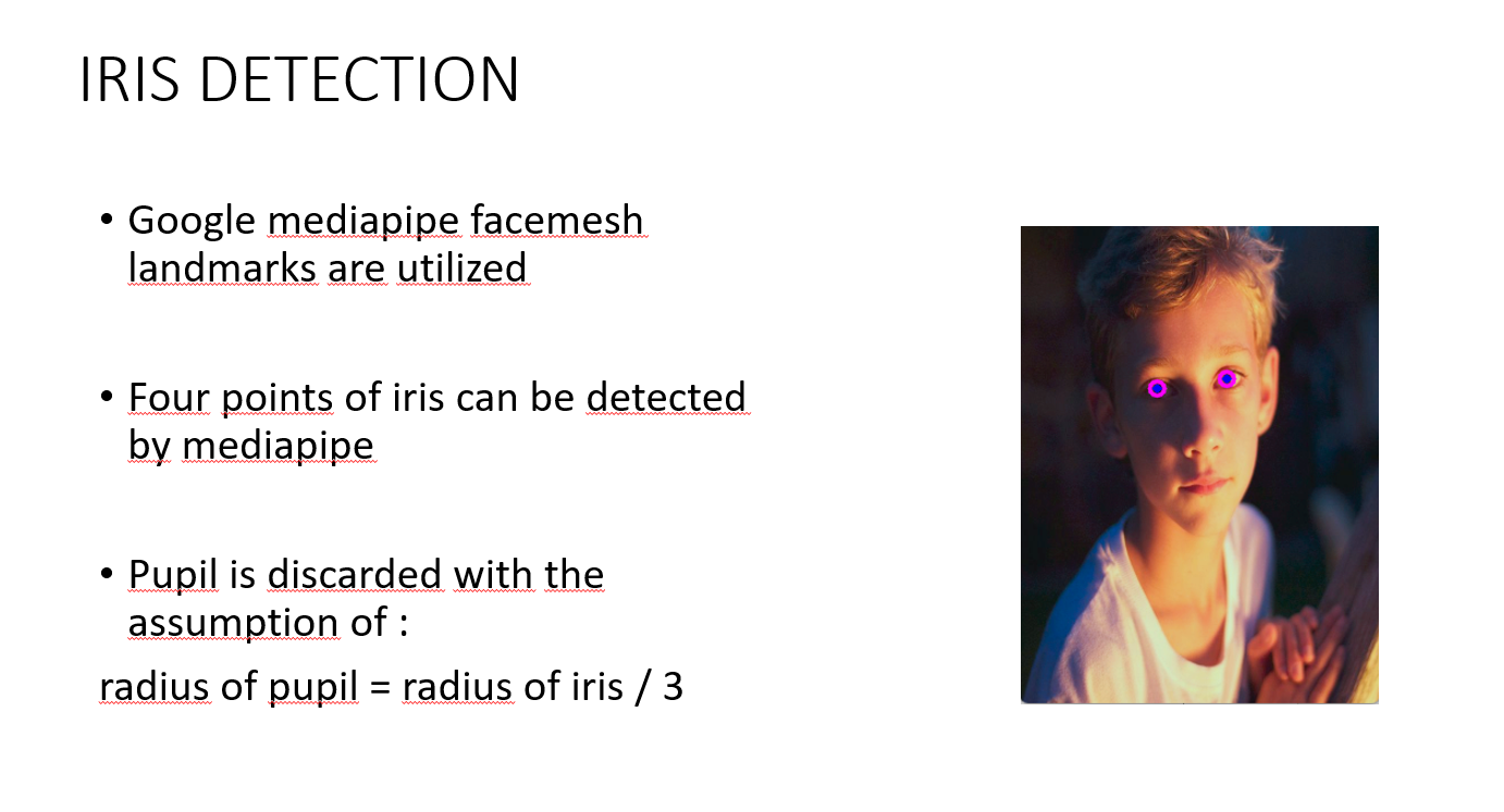 GitHub - MertArslanoglu/Eye-Color-Detection