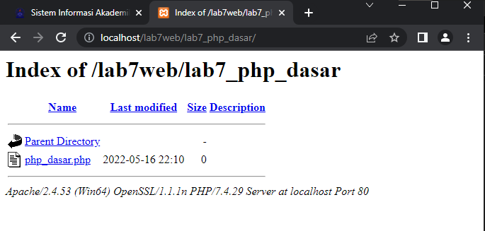 GitHub - DenasAria/lab7web