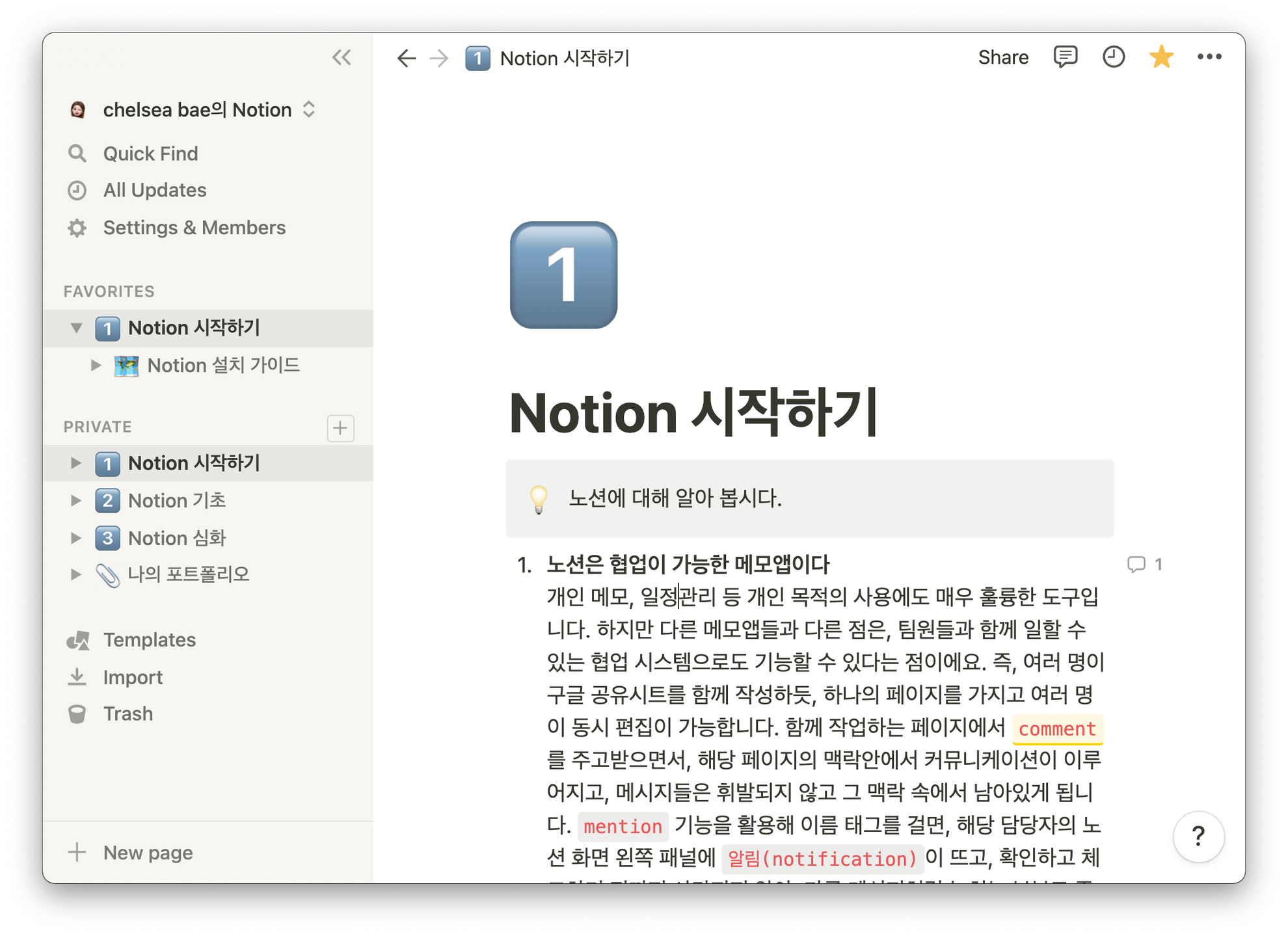 [Notion] 사용법