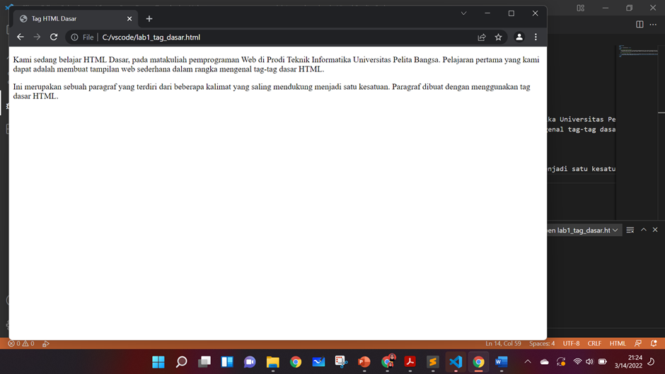 GitHub - Anisaidrsty/lab1web