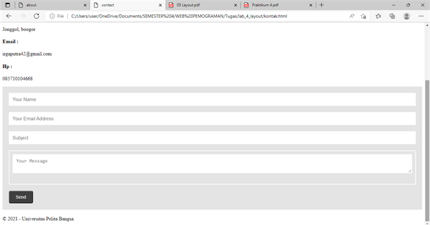 GitHub - IrgaRamadhanPutra/lab4web