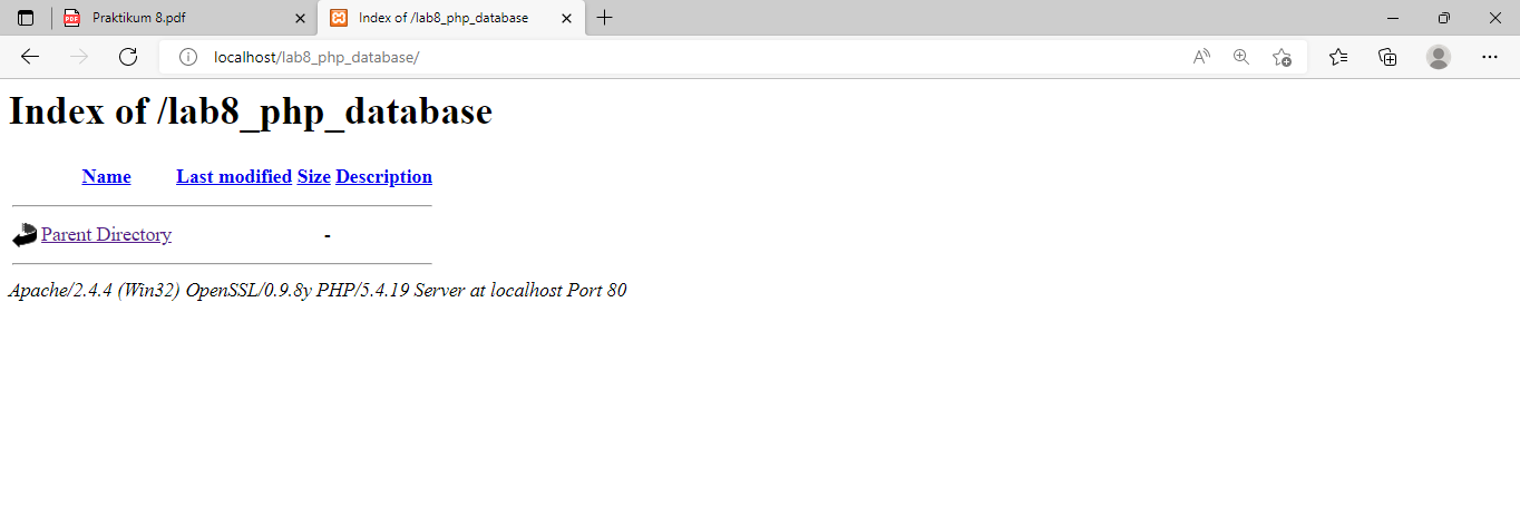 GitHub - rinoatibaman/lab8web