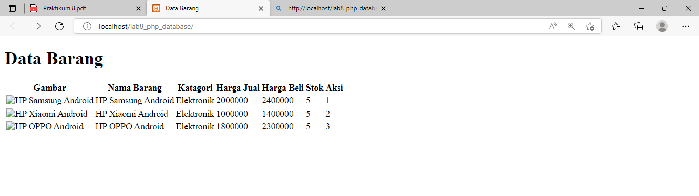 GitHub - IrgaRamadhanPutra/lab8web